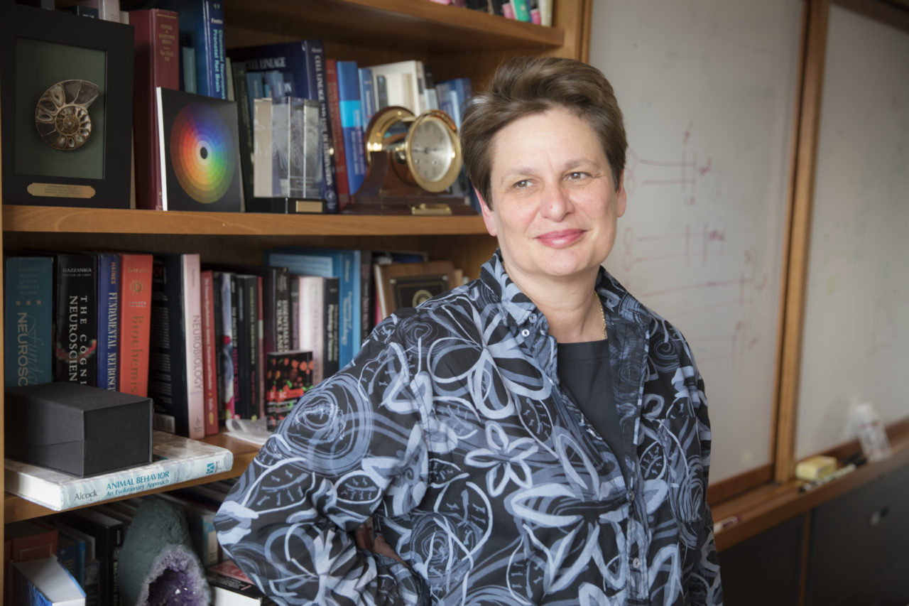 Catherine Dulac - Harvard Brain Science Initiative