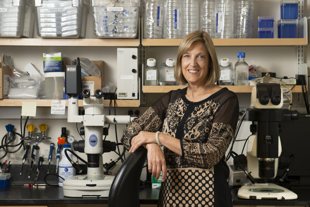 Elizabeth Engle - Harvard Brain Science Initiative