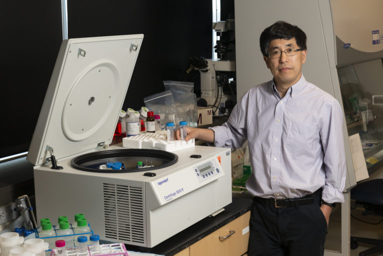 Zhigang He - Harvard Brain Science Initiative