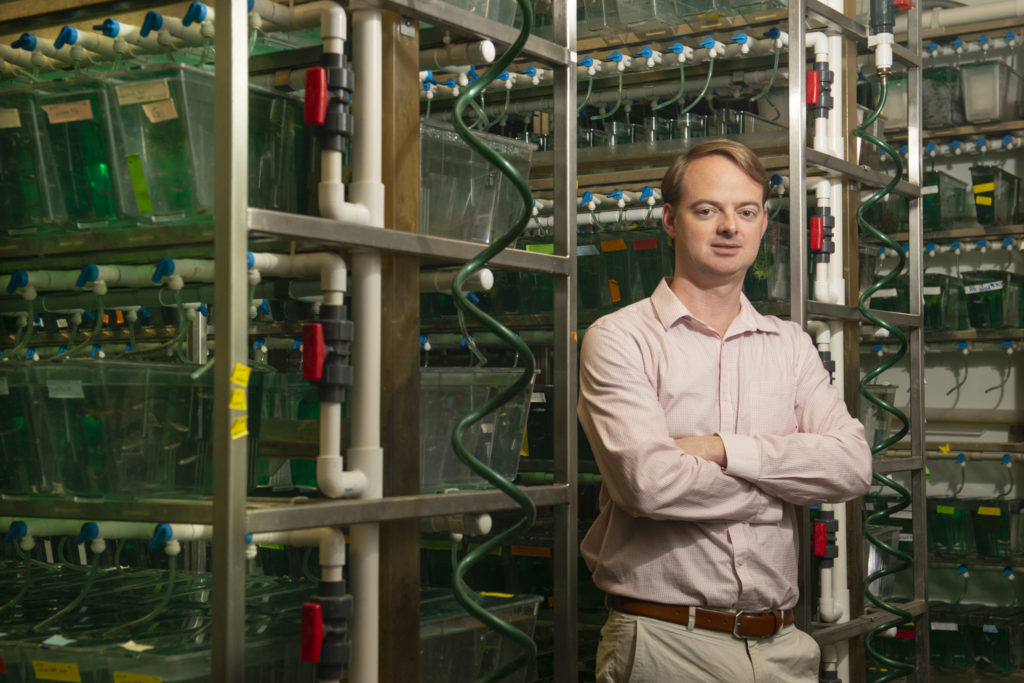 Sean Megason - Harvard Brain Science Initiative