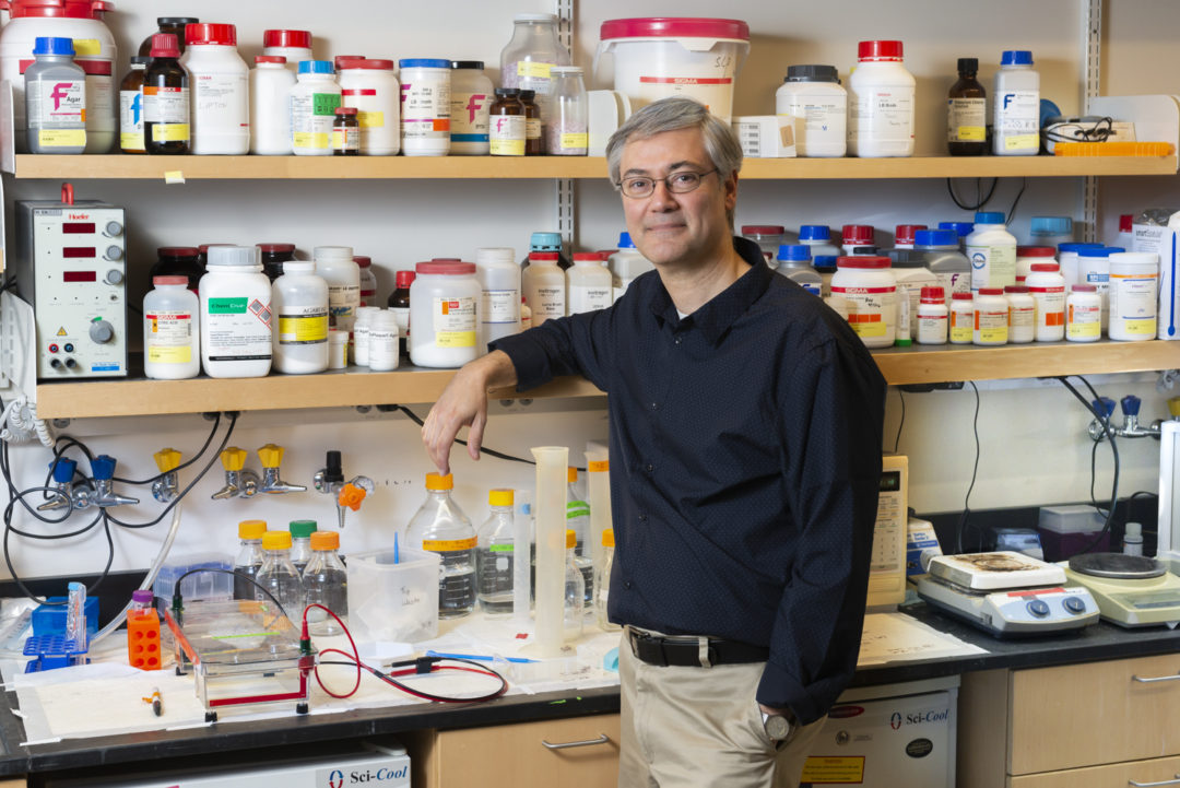 Mustafa Sahin - Harvard Brain Science Initiative