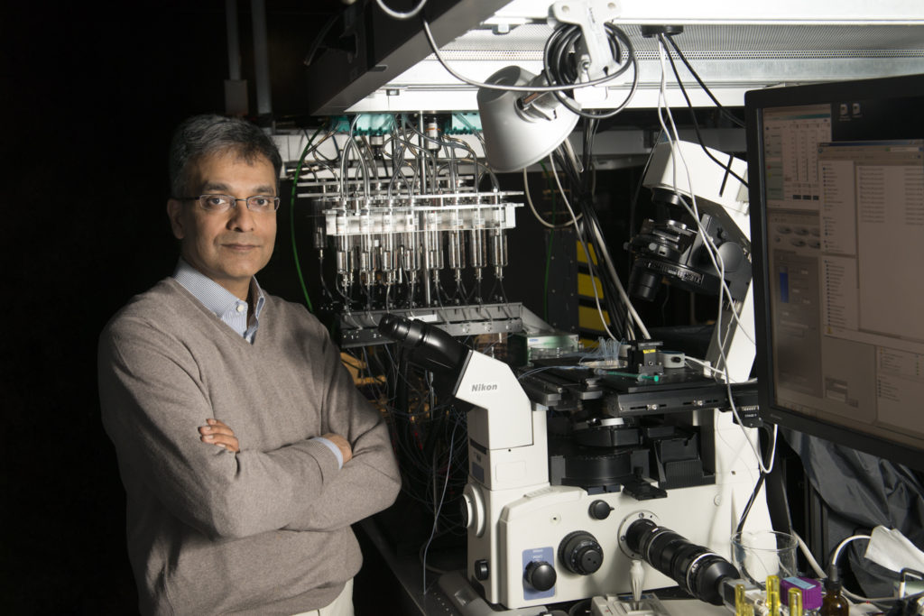 Photos - Harvard Brain Science Initiative