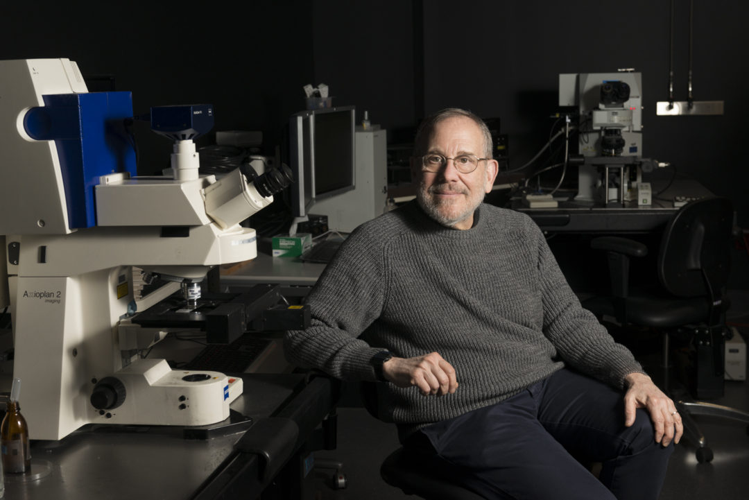 Josh Sanes awarded the Scolnick Prize in Neuroscience - Harvard Brain ...