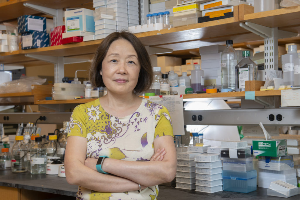 Jie Shen - Harvard Brain Science Initiative