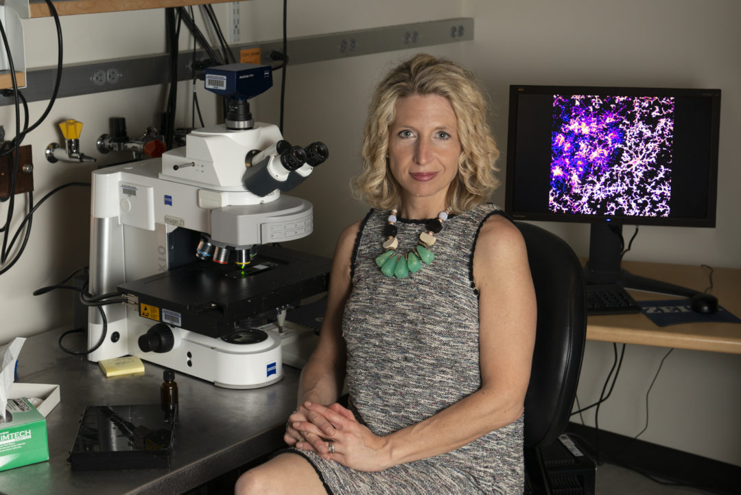 Beth Stevens - Harvard Brain Science Initiative