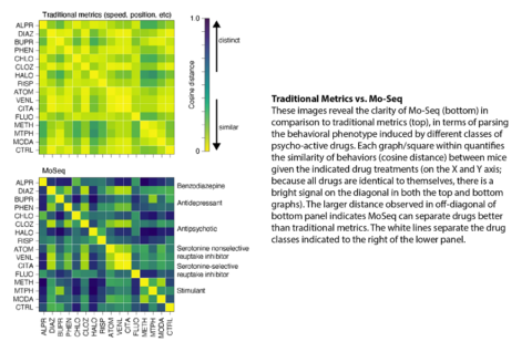 Parsing Large Scale Behavioral Datasets Using Motion Sequencing ...