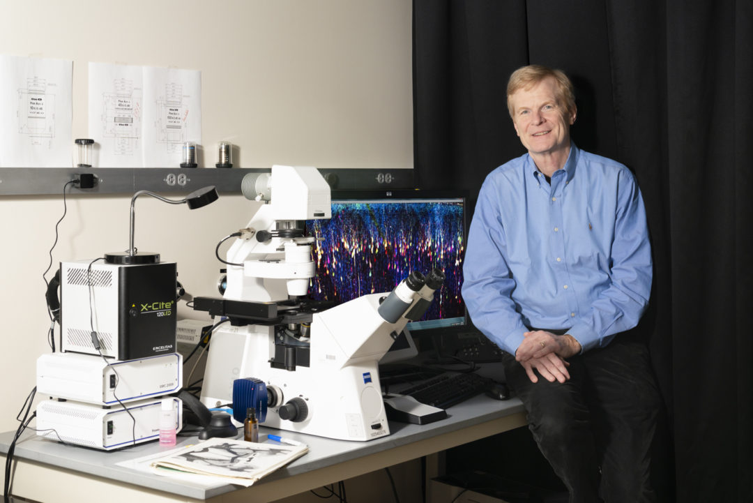 Christopher A. Walsh - Harvard Brain Science Initiative