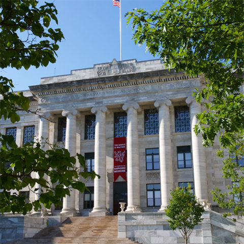 Home - Harvard Brain Science Initiative